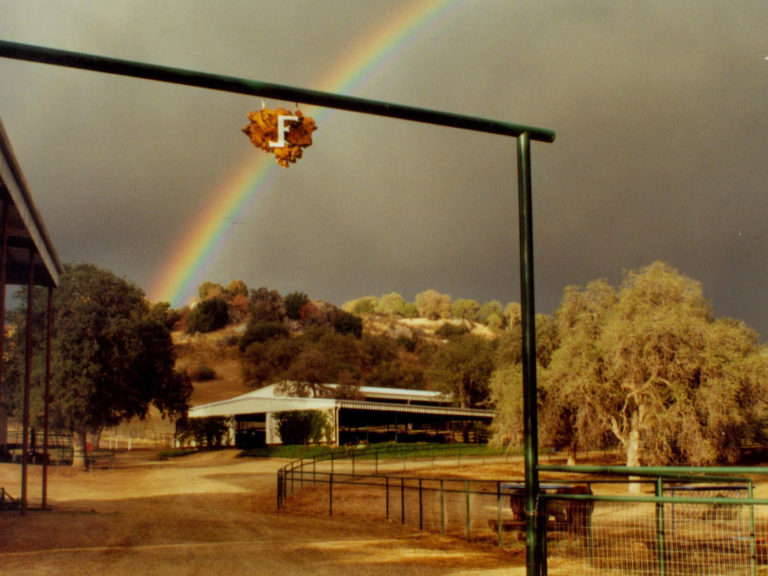 home - Fairlea Ranch