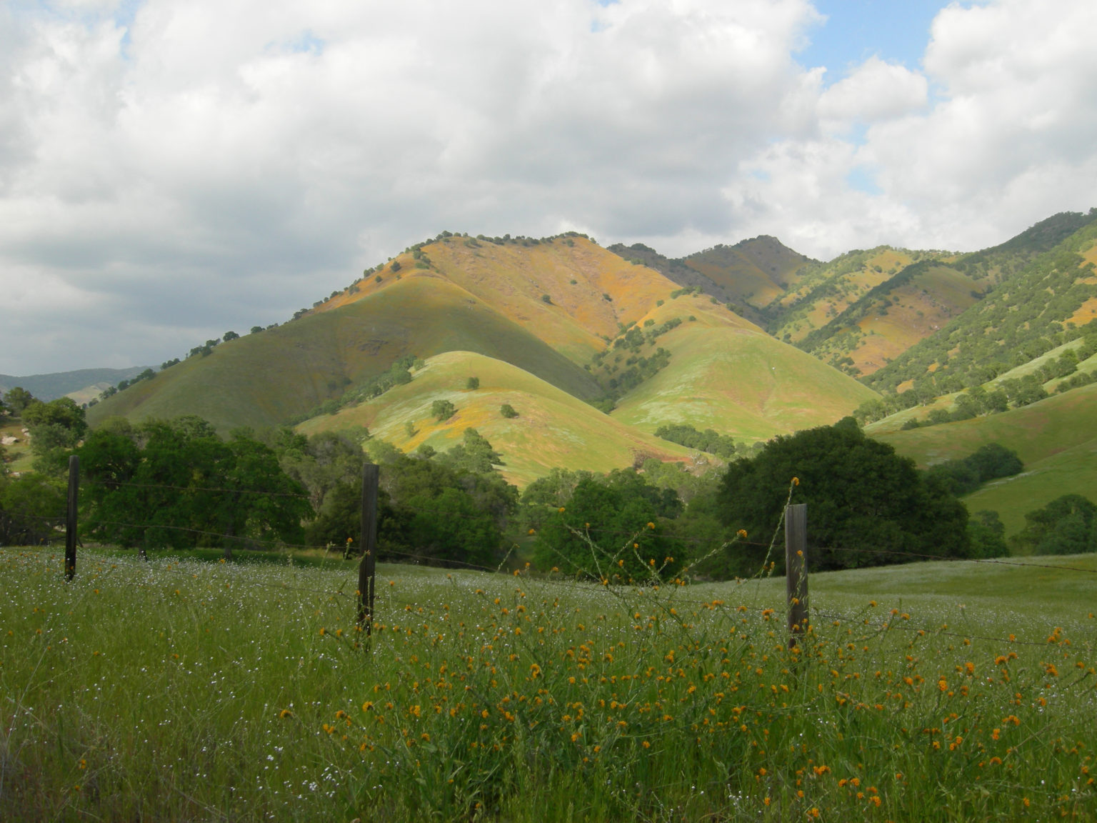 home - Fairlea Ranch