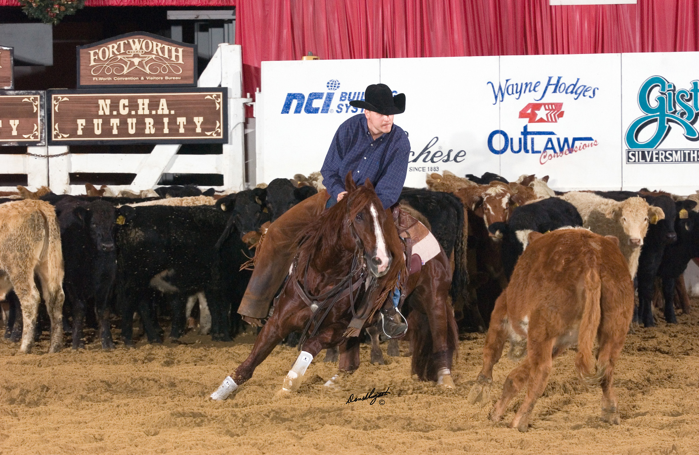 showing - Fairlea Ranch