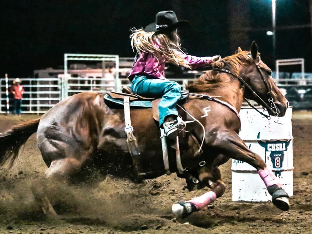 Fairlea WhataboutBob - Fairlea Ranch